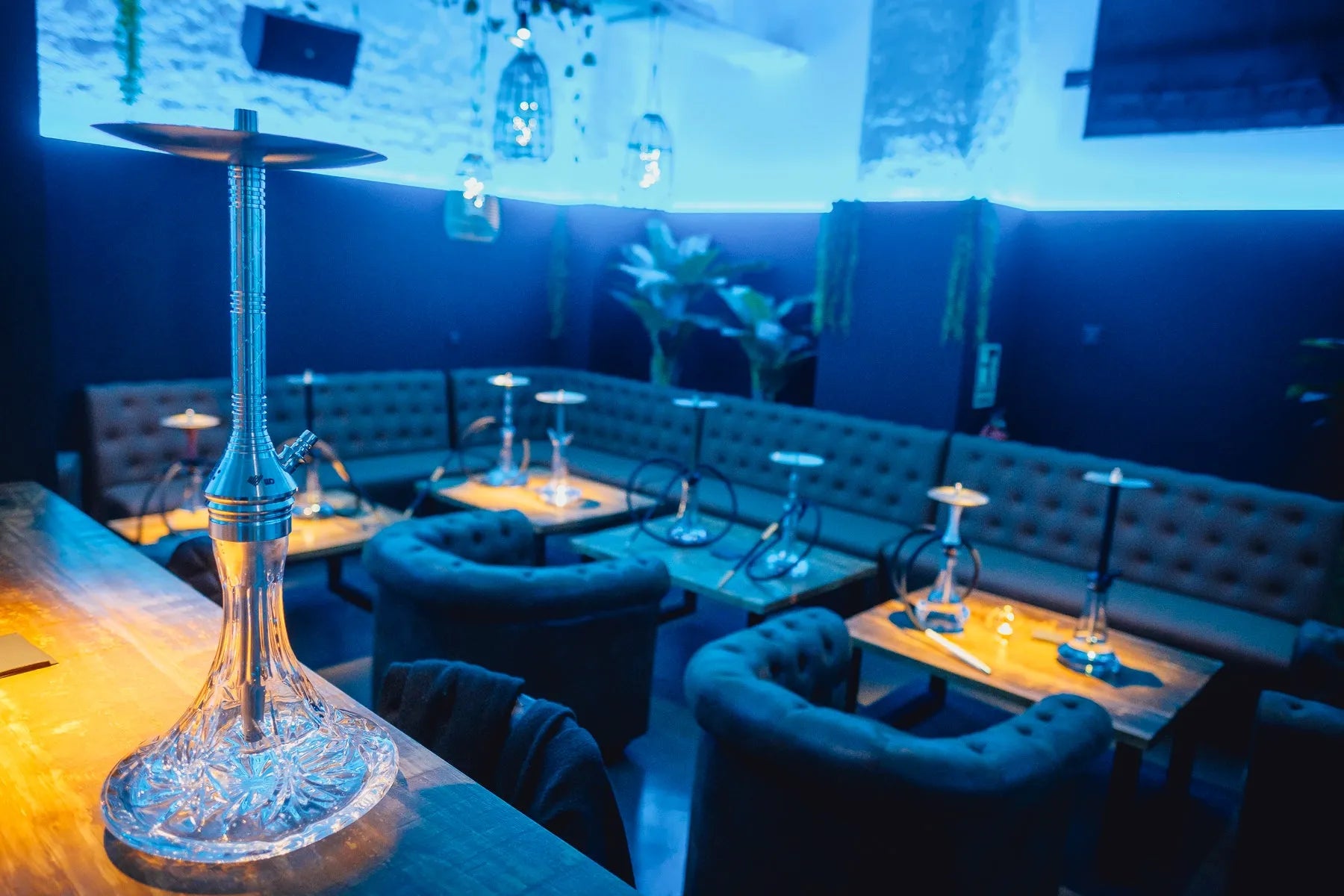 SHISHA LOUNGE CERCA · MOOM SHISHA LOUNGE – Monkey Shisha's